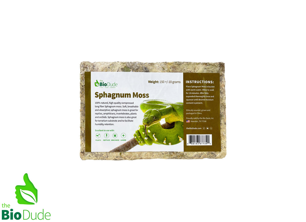 Bio Dude Bioactive Supplies for Sale - Premium Terrarium Products | Ty ...